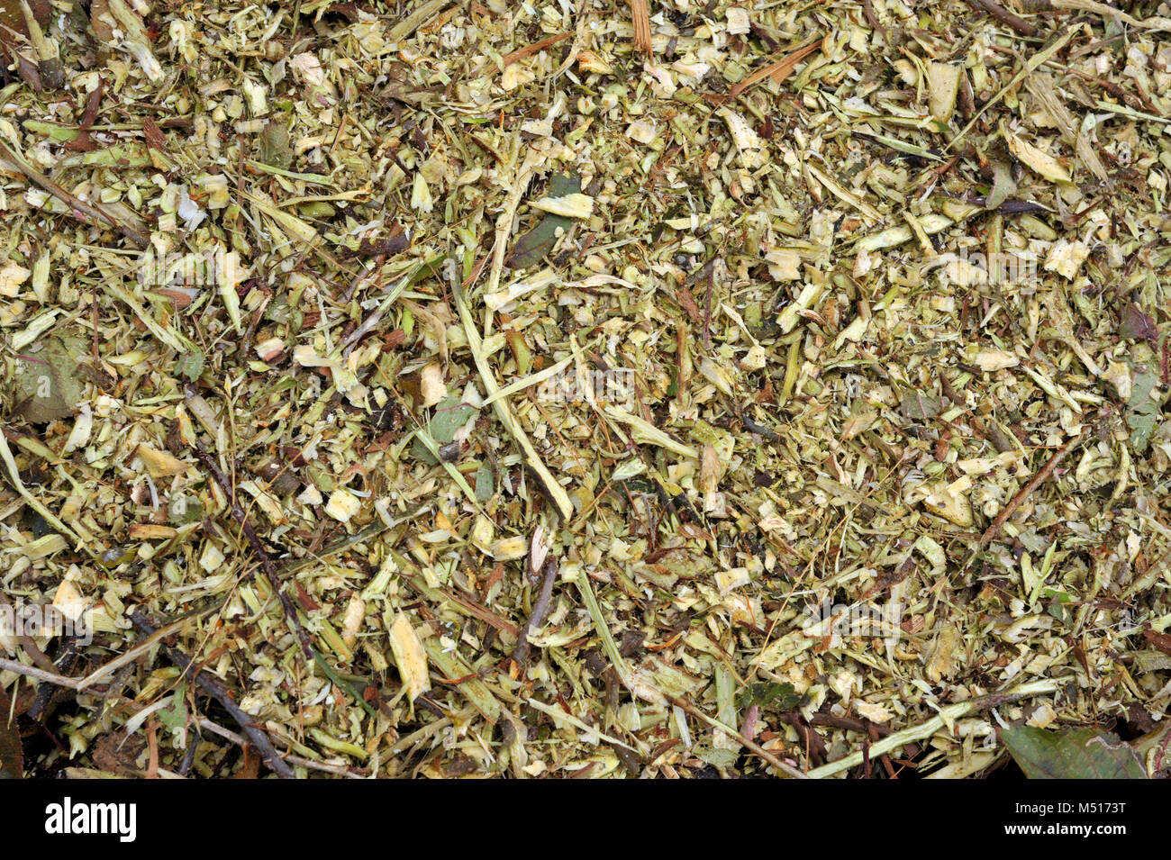 Environmental mulch mulching hi-res stock photography and images - Alamy