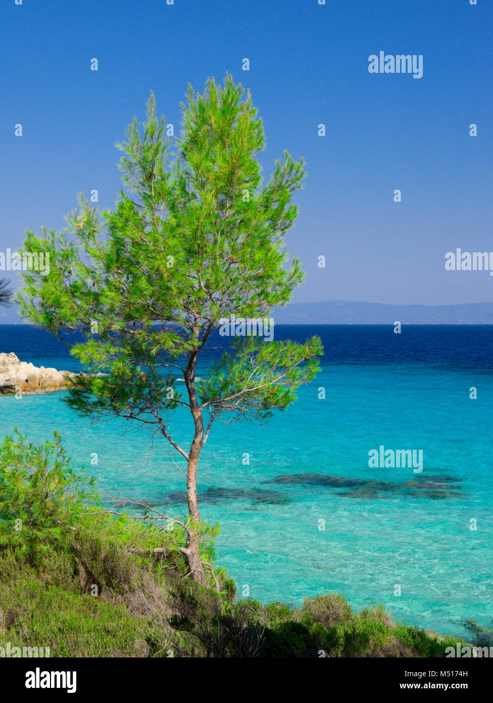 Blue sea shore under clear sky Stock Photo - Alamy