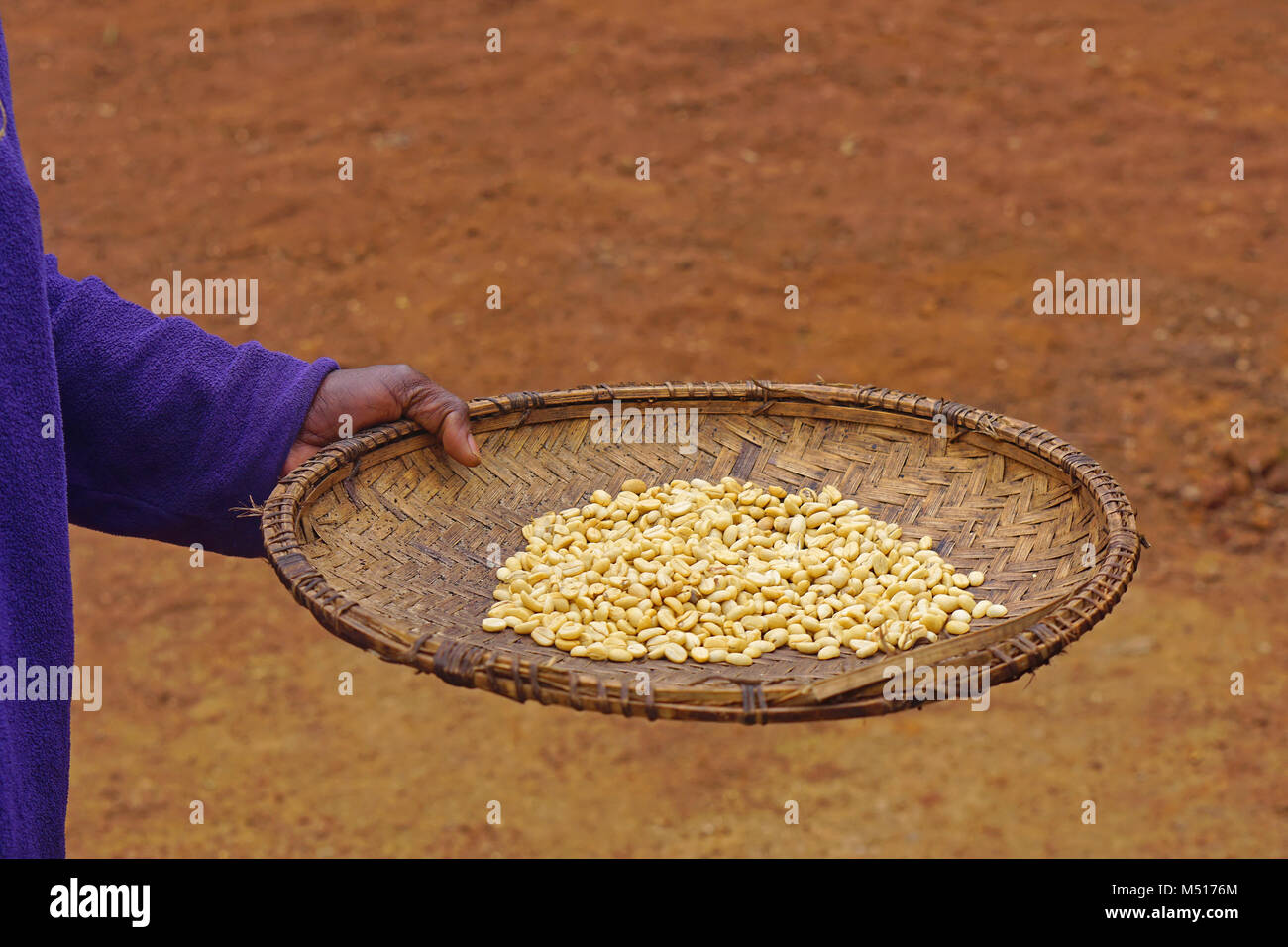 Raw coffee hi-res stock photography and images - Alamy