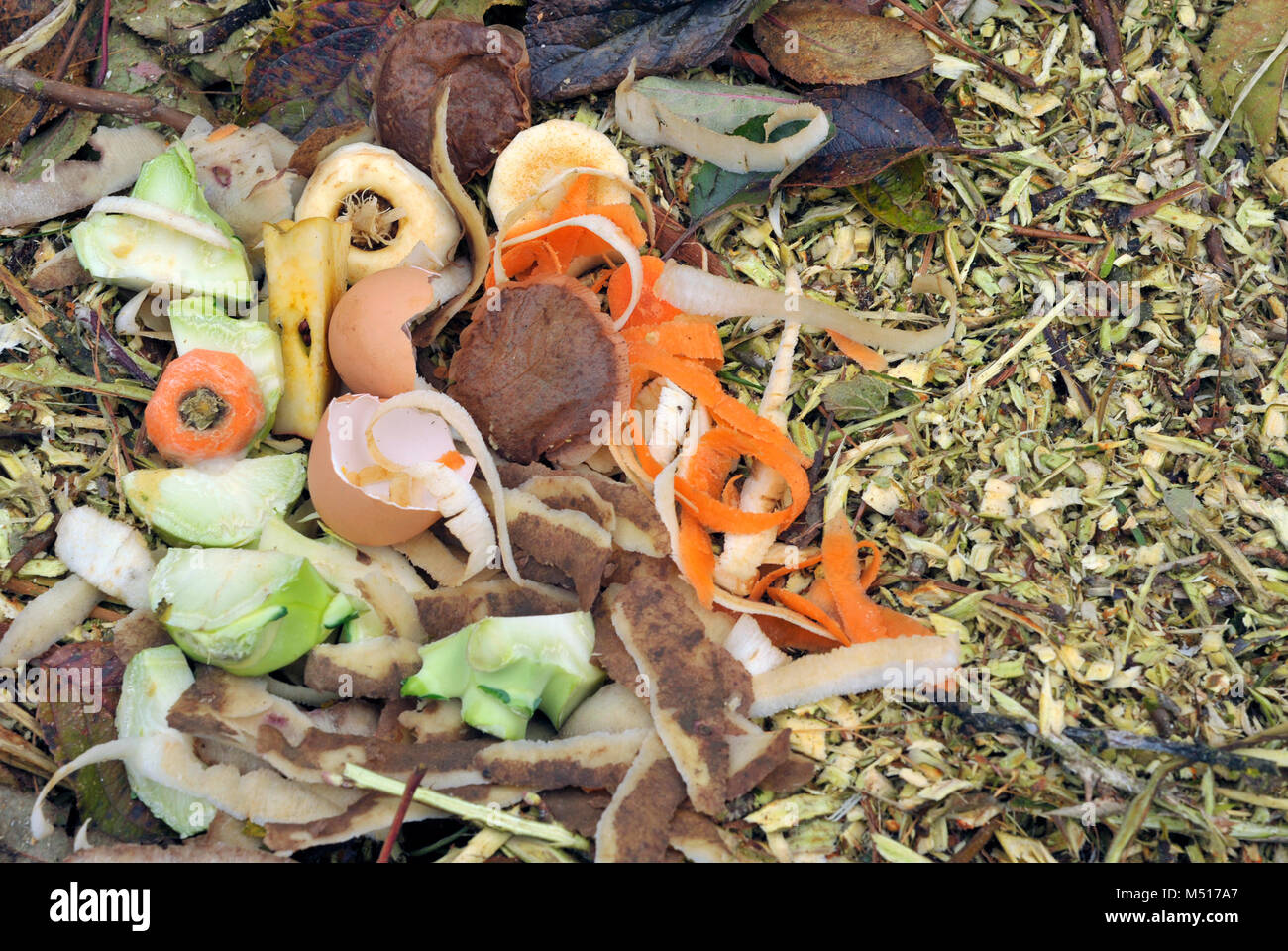 Recycling garden and kitchen food waste on a compost heap including ...