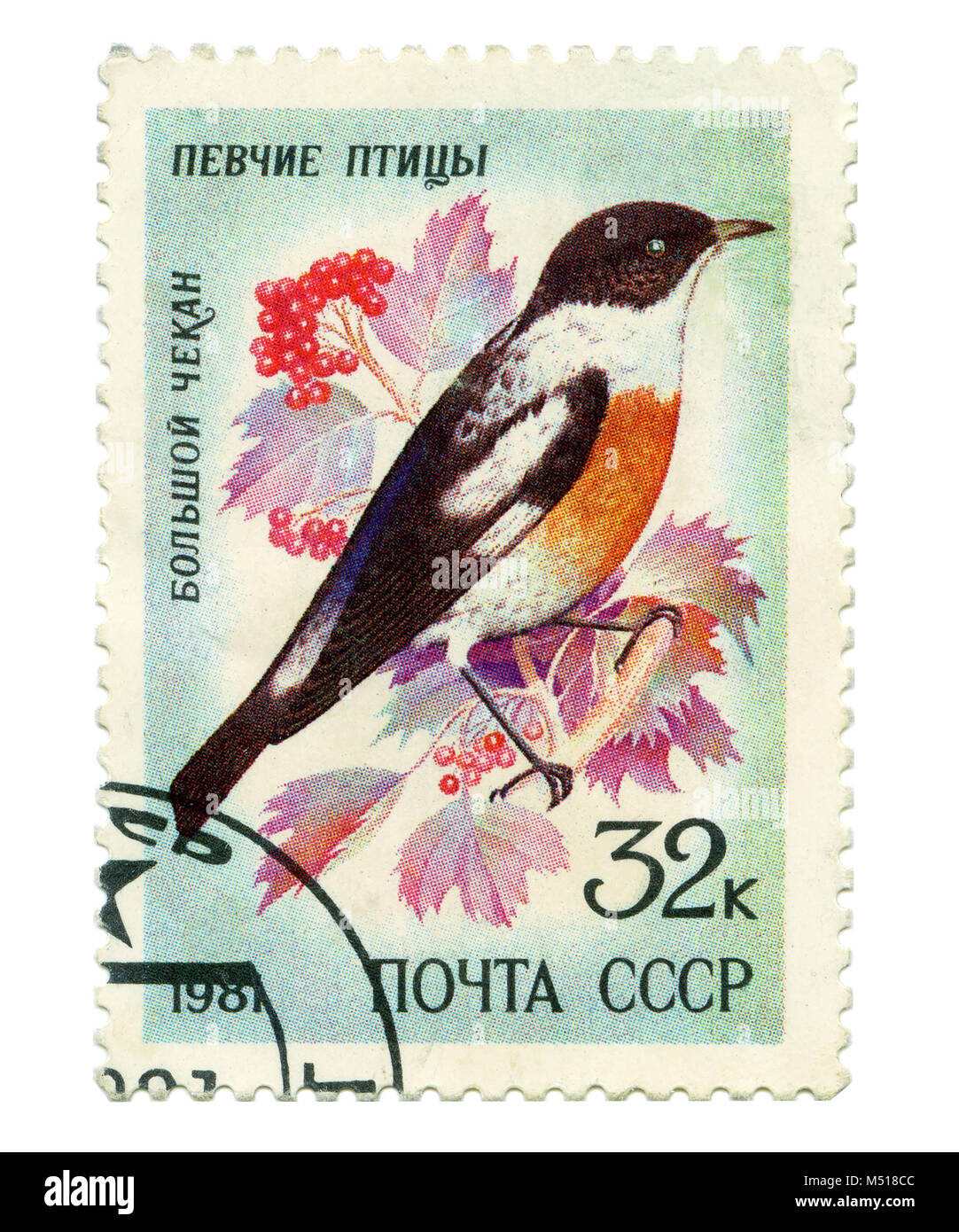 USSR - CIRCA 1981: a post stamp printed in USSR, shows the bird Big ...