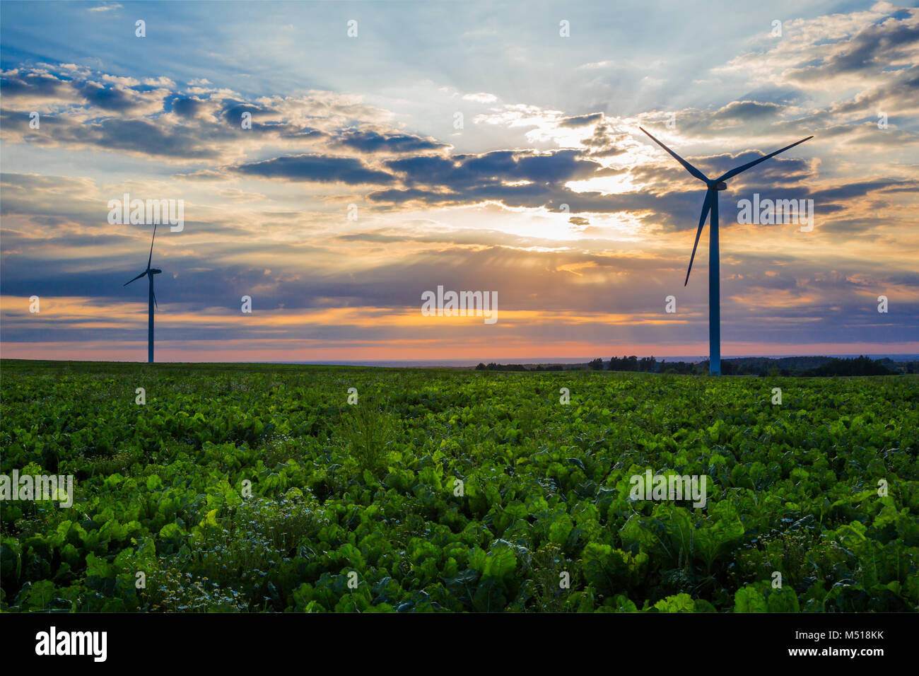 Wind turbine, power generation Stock Photo - Alamy