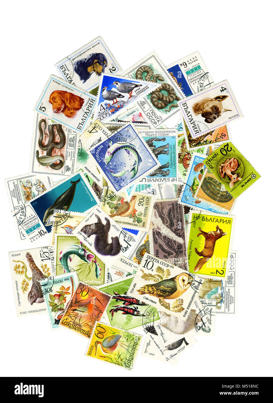 A collage of postage stamps on the theme of nature . To create a ...