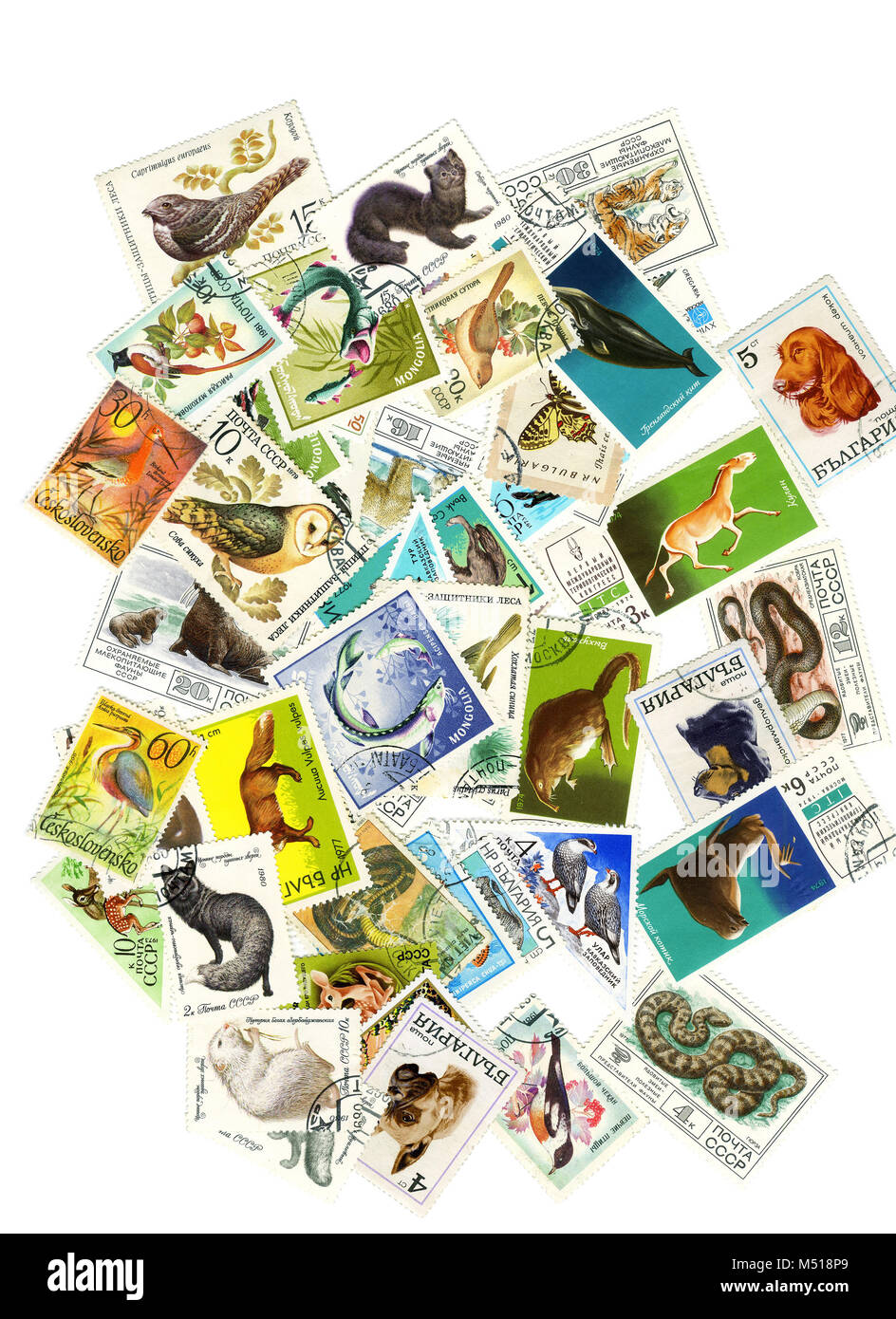 A collage of postage stamps on the theme of nature . To create a ...