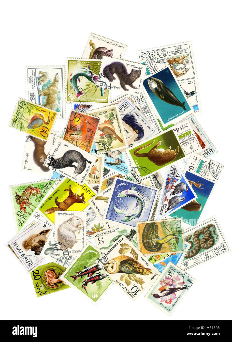 A collage of postage stamps on the theme of nature . To create a ...