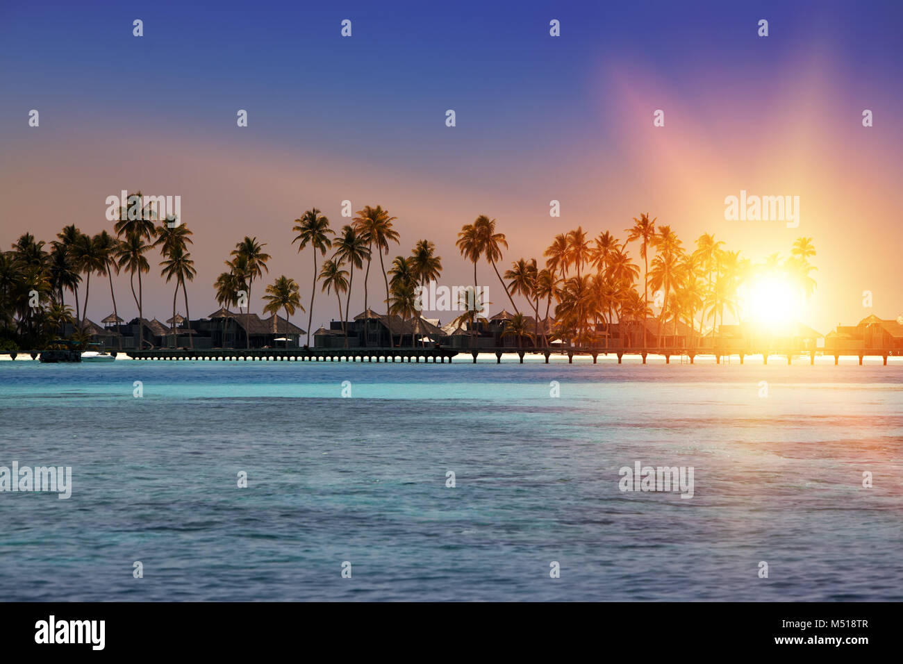 Sea palm trees sand on hi-res stock photography and images - Alamy