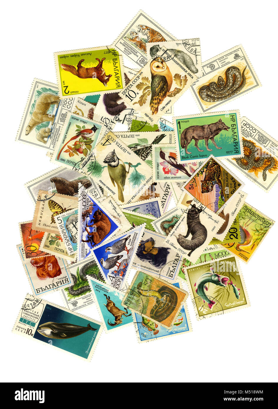 A collage of postage stamps on the theme of nature . To create a ...