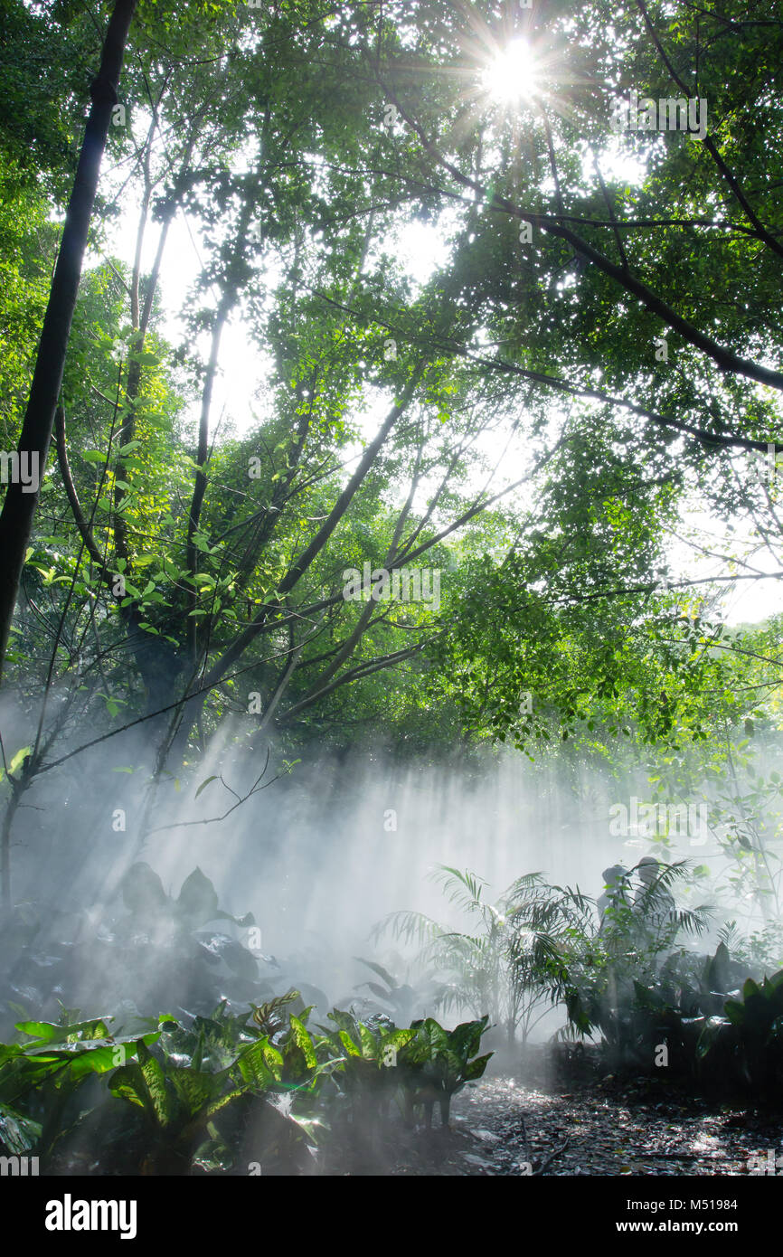 Jesus wallpaper hi-res stock photography and images - Alamy