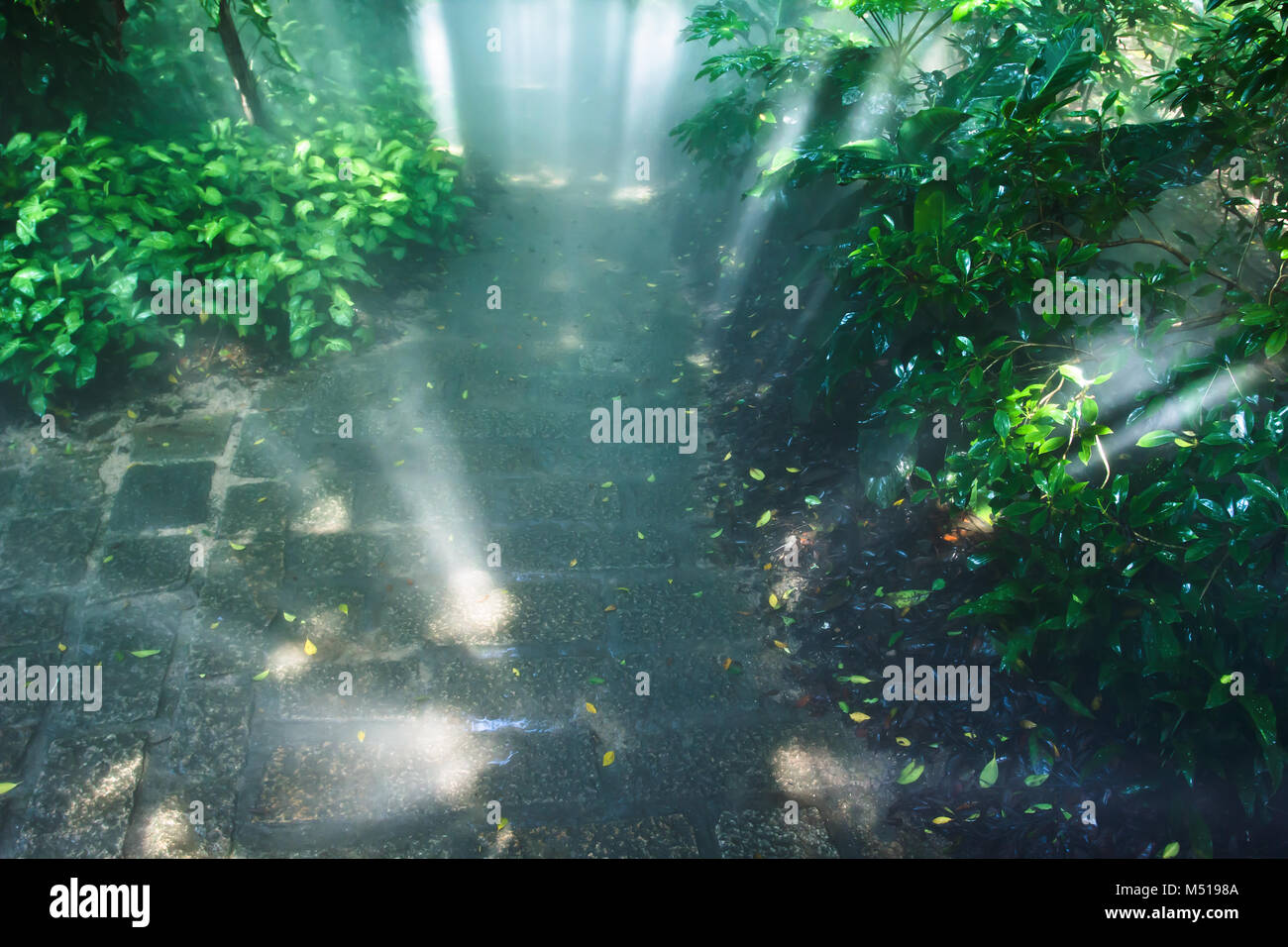 Jesus light hi-res stock photography and images - Alamy