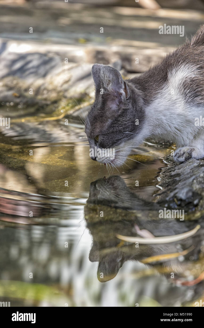 Thirst hi-res stock photography and images - Alamy