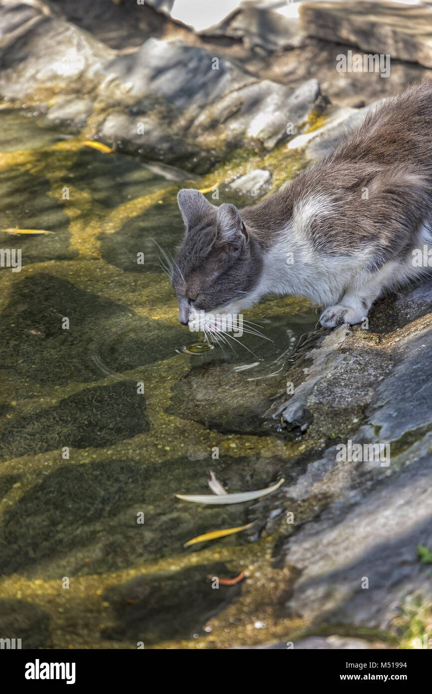 Thirst hi-res stock photography and images - Alamy