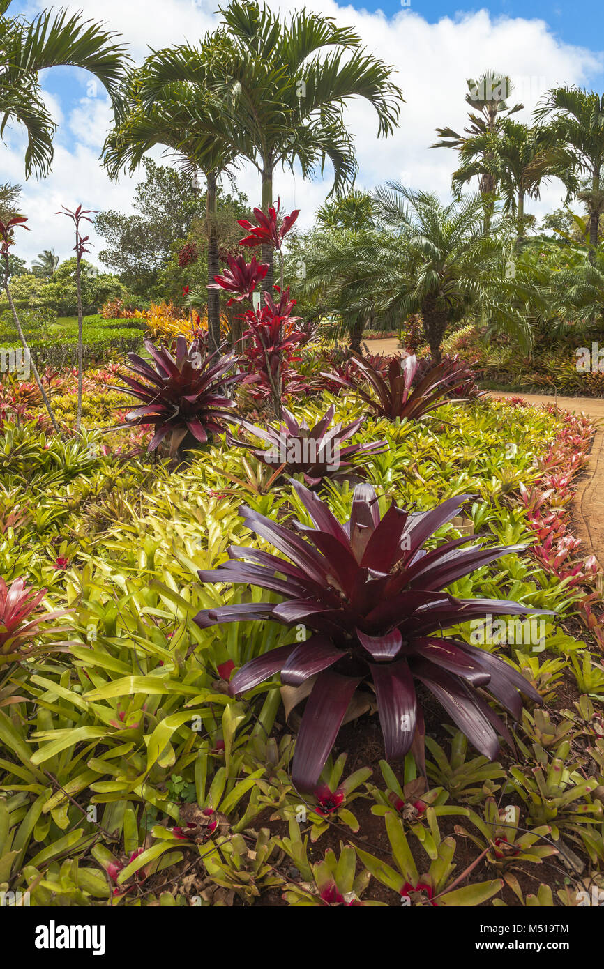 Hawaiian Backyard Gardens Hawaiian Flower Garden By Doug LaRue