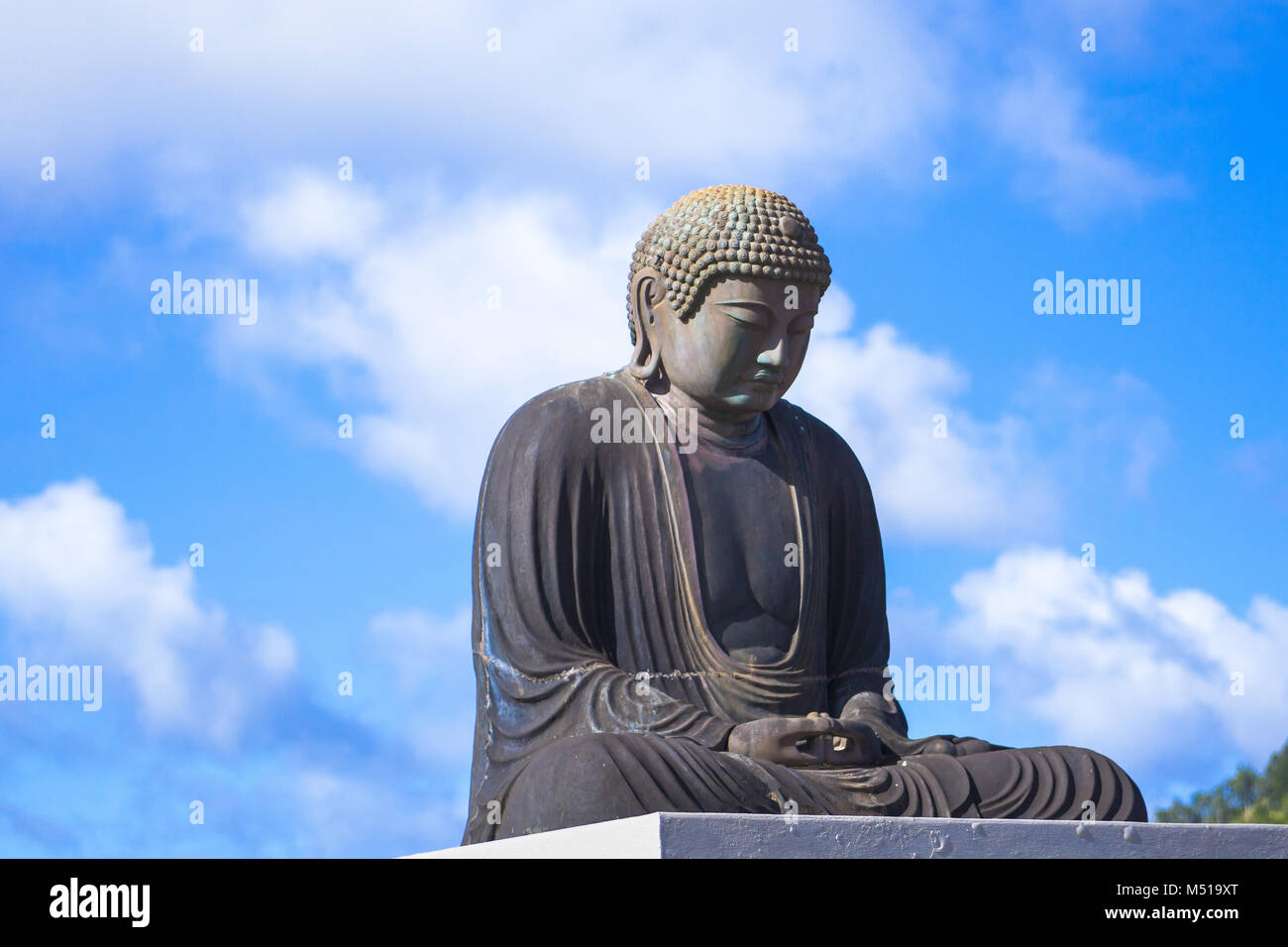 buddha in meditation Stock Photo - Alamy