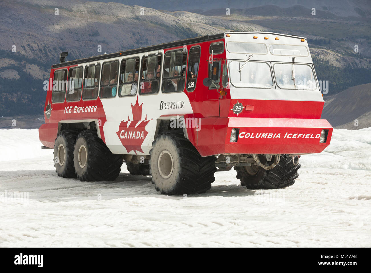 athabasca glacie ice explorer truck Stock Photo - Alamy