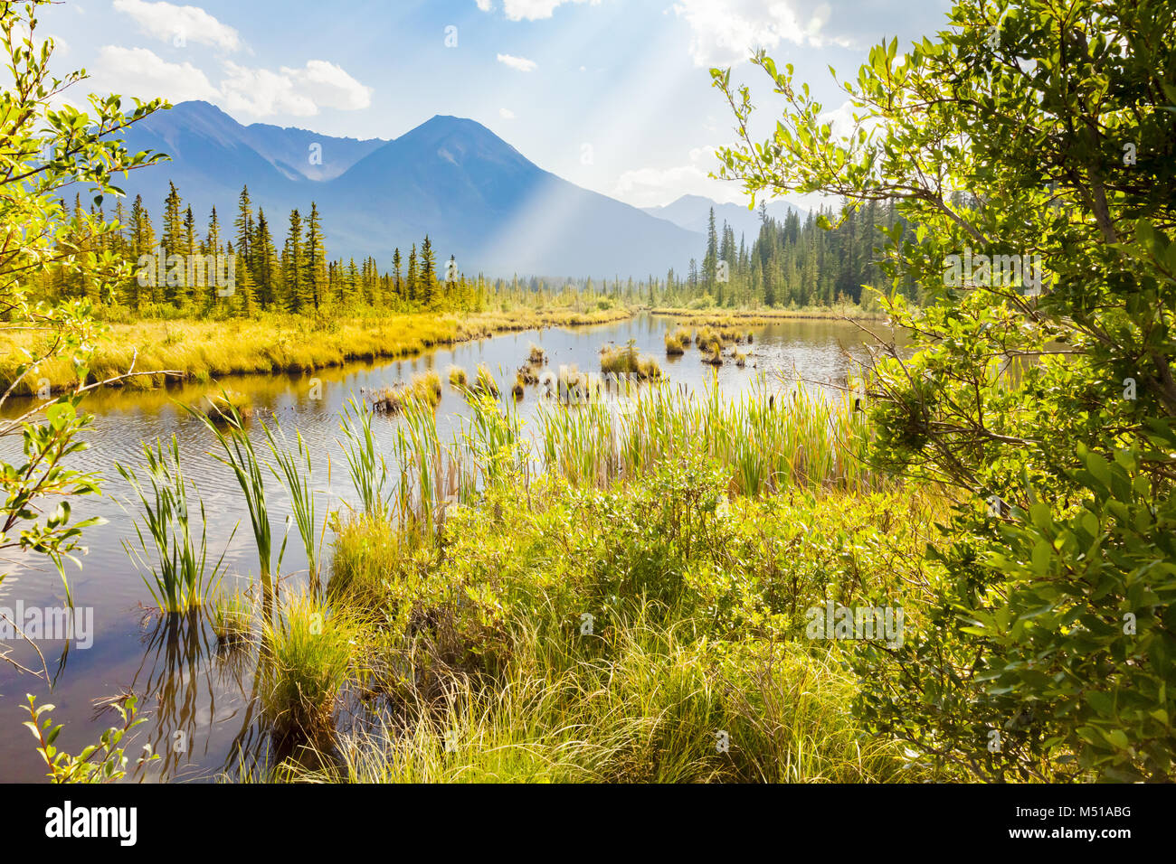 Nature banff hi-res stock photography and images - Alamy