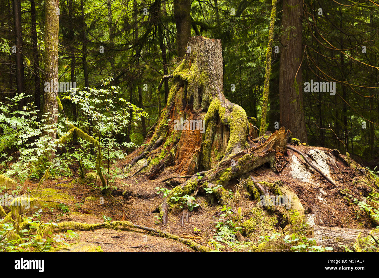 Canada west hi-res stock photography and images - Alamy