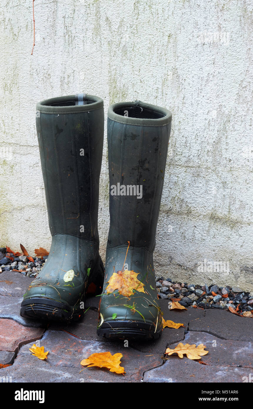pair of rubber boots with autumn leaves Stock Photo - Alamy