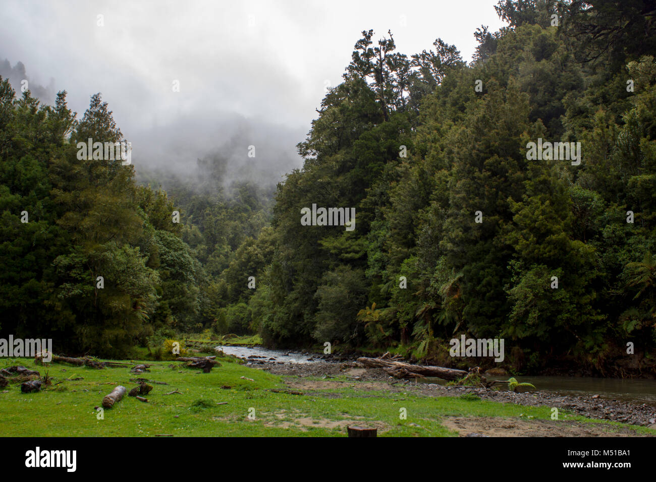 Scenic landscape in North Island, New Zealand Stock Photo - Alamy
