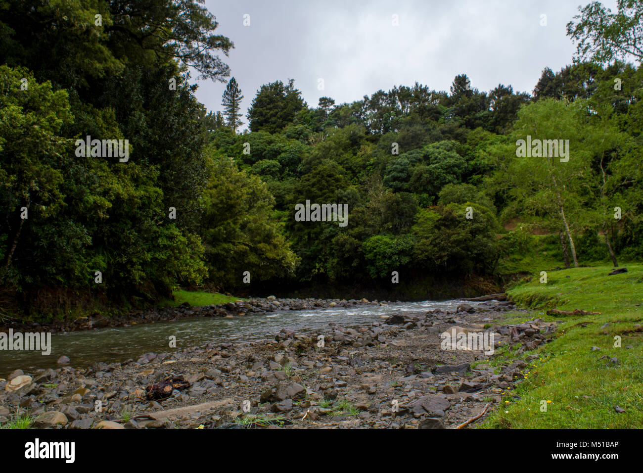 Ecology river hi-res stock photography and images - Alamy