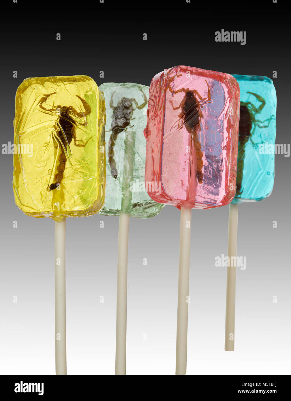 A group of flavored Hotlix scorpion suckers Stock Photo - Alamy