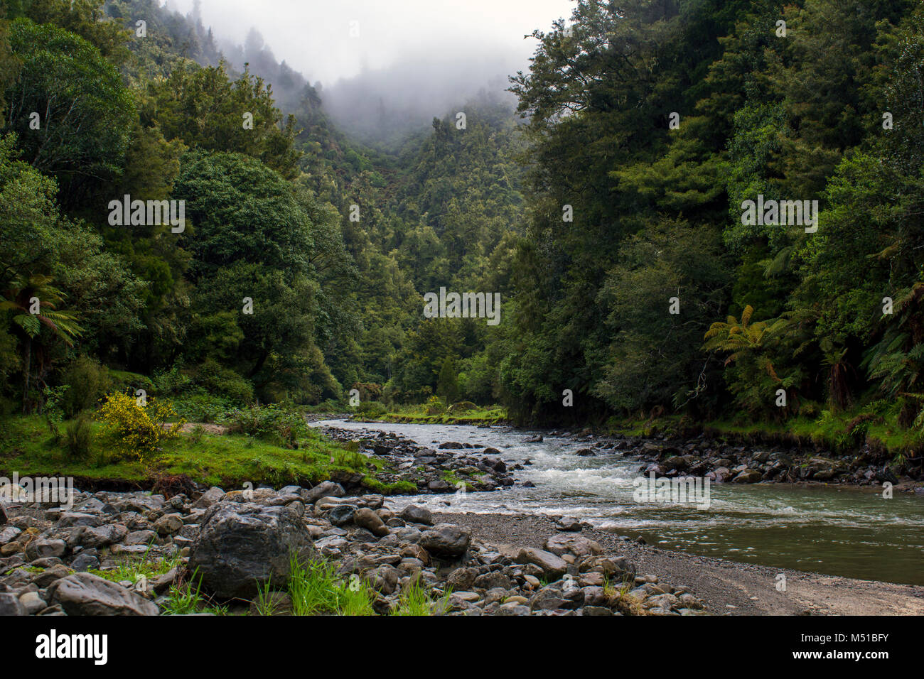 Stunning Nature landscape, mountain, forest and river Stock Photo - Alamy