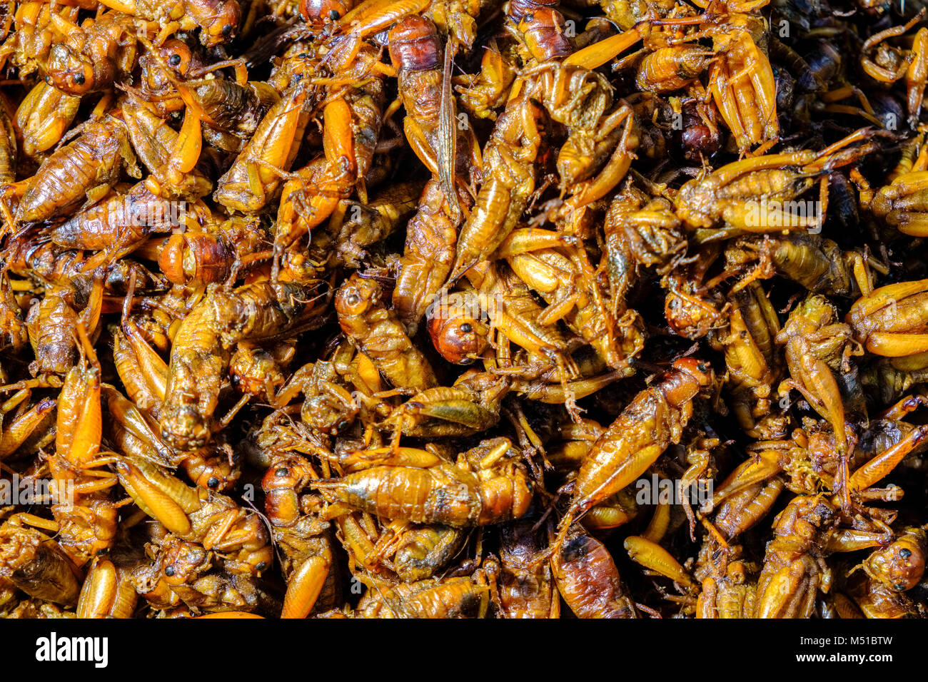Locust street hi-res stock photography and images - Alamy