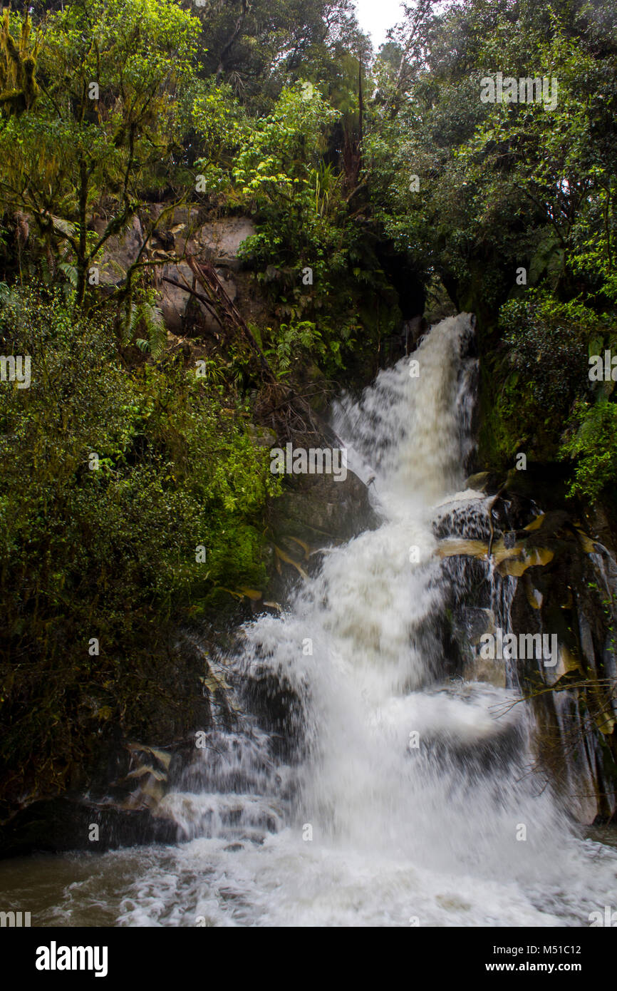 Waterfall in New Zealand, North Island Stock Photo - Alamy