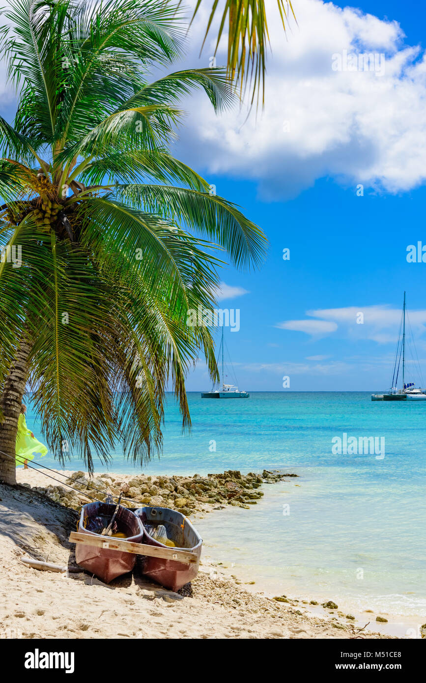 Palm Ocean Sky Stock Photo - Alamy