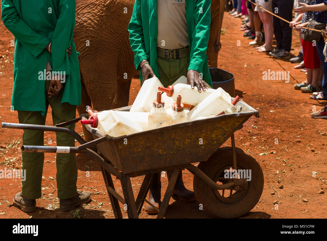 Elephant and wheelbarrow hi-res stock photography and images - Alamy