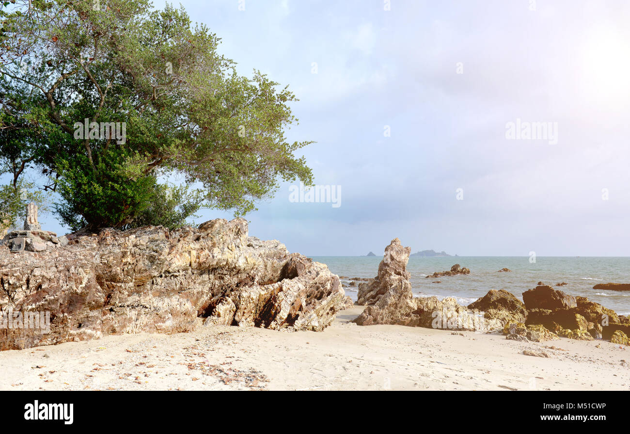 Rock and tree on the beach in the island photo in sun lighting Stock ...