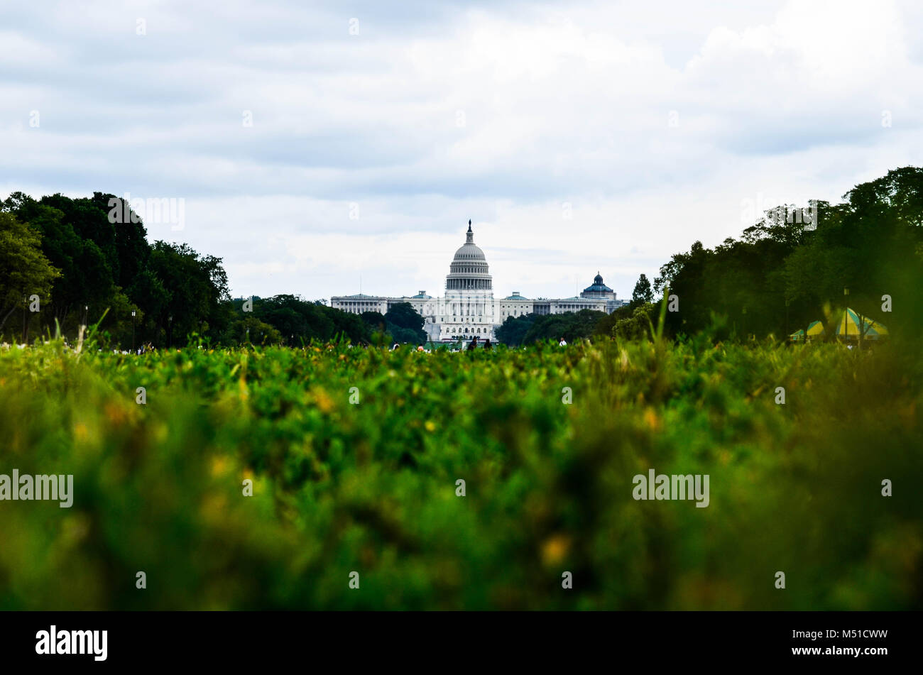 Money politics hi-res stock photography and images - Alamy