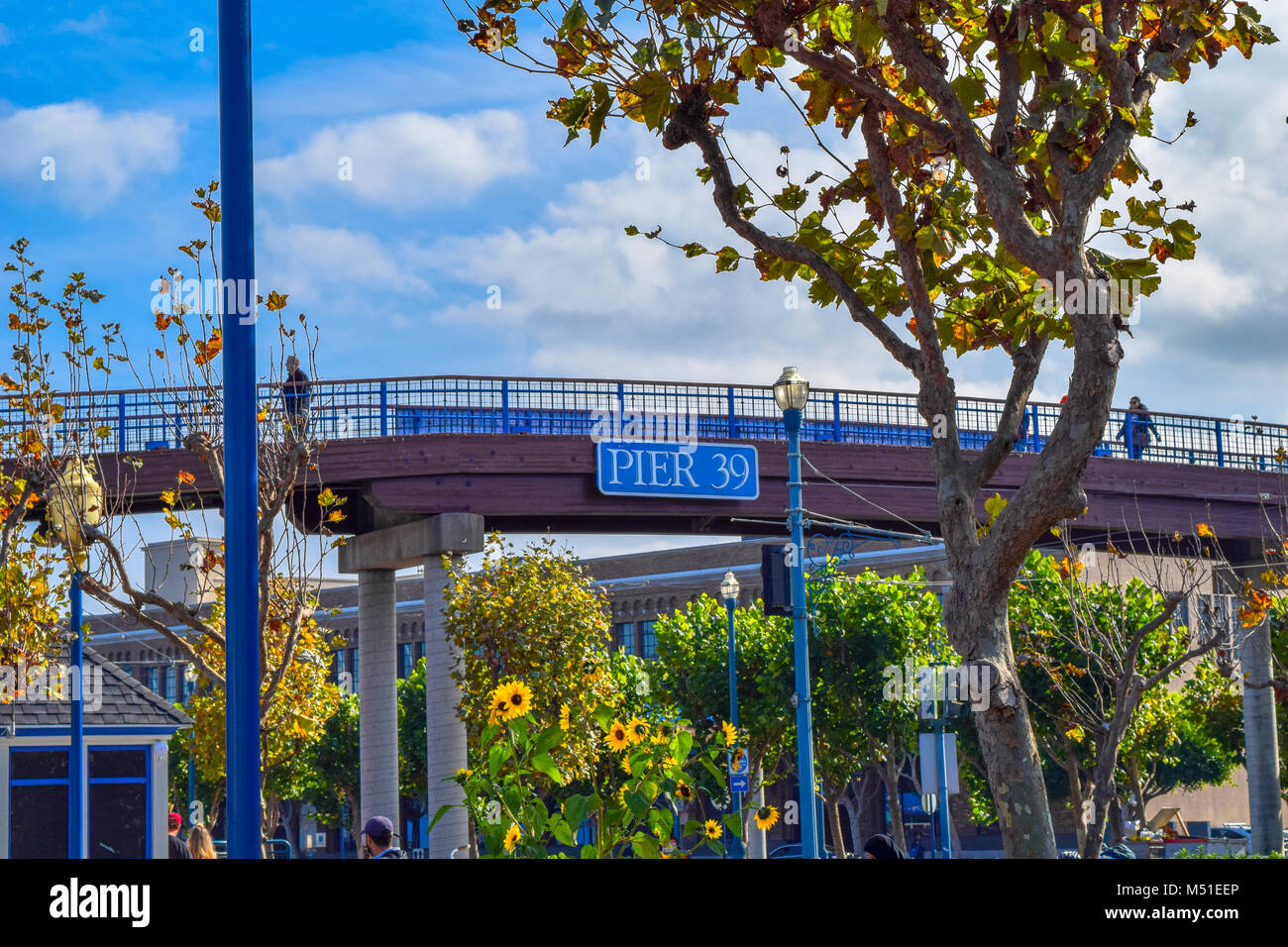Sea seal bridge hi-res stock photography and images - Alamy