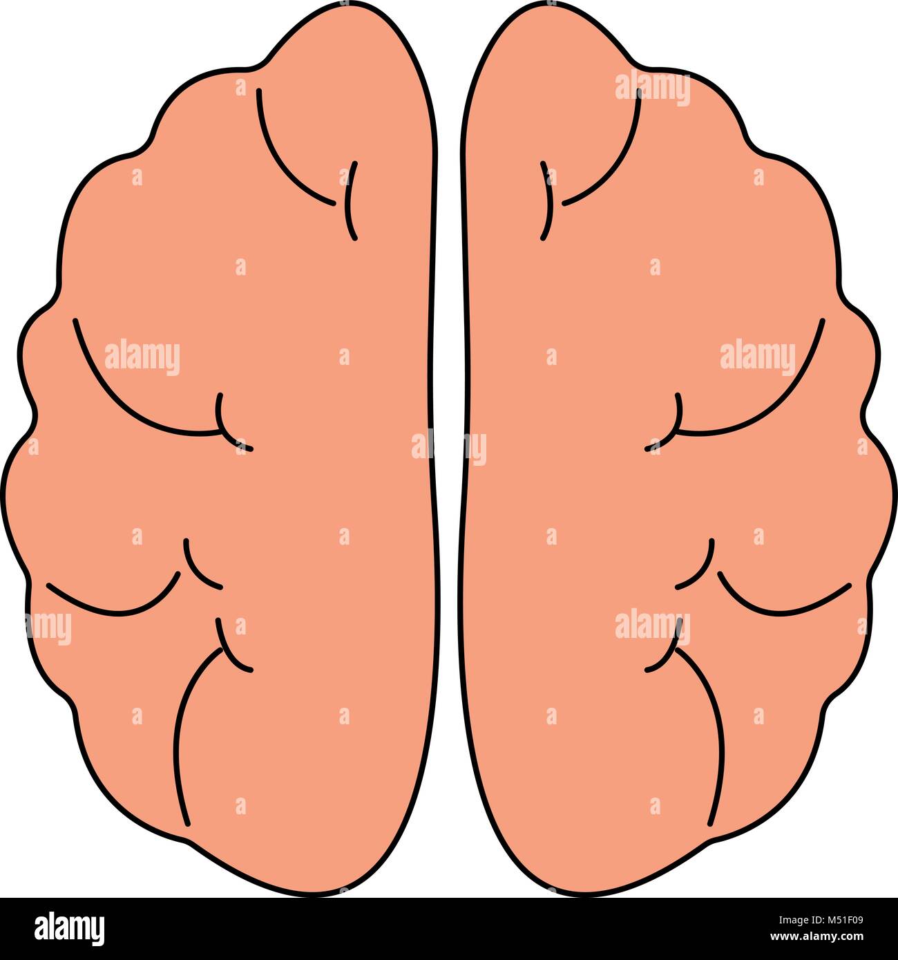 Human brain front view icon. Hnternal organs symbol. Vector ...