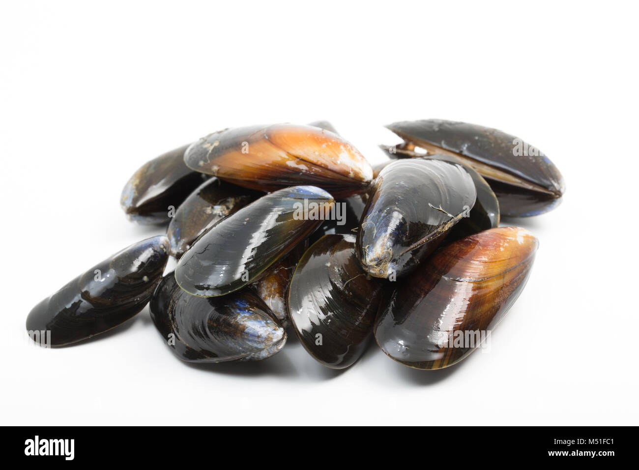 Types de fruits Cut Out Stock Images & Pictures - Alamy