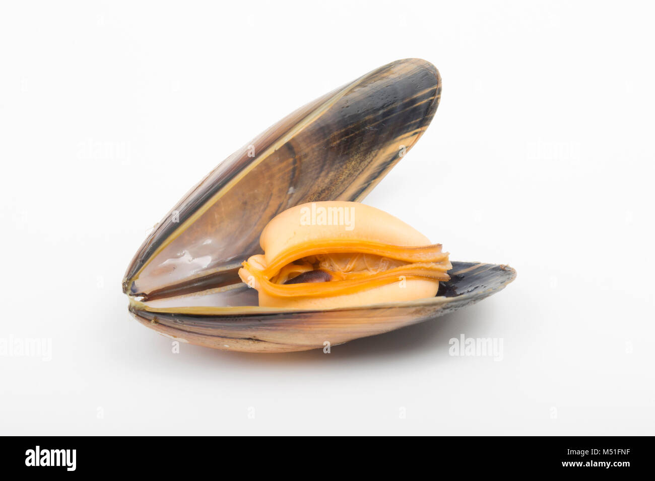 Types de fruits hi-res stock photography and images - Alamy