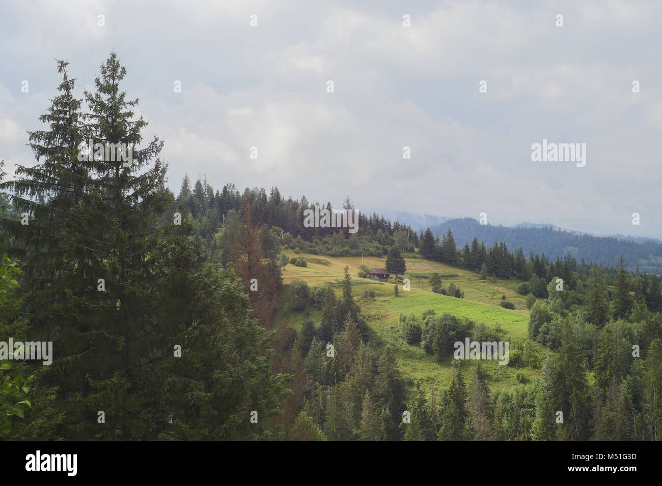 forest, the mountains, meadow, small house, cute, garden, sky, clouds ...