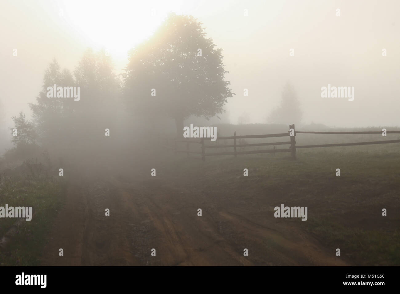vertex, fence, road, village, meadow, field, shine, day, wonderful ...