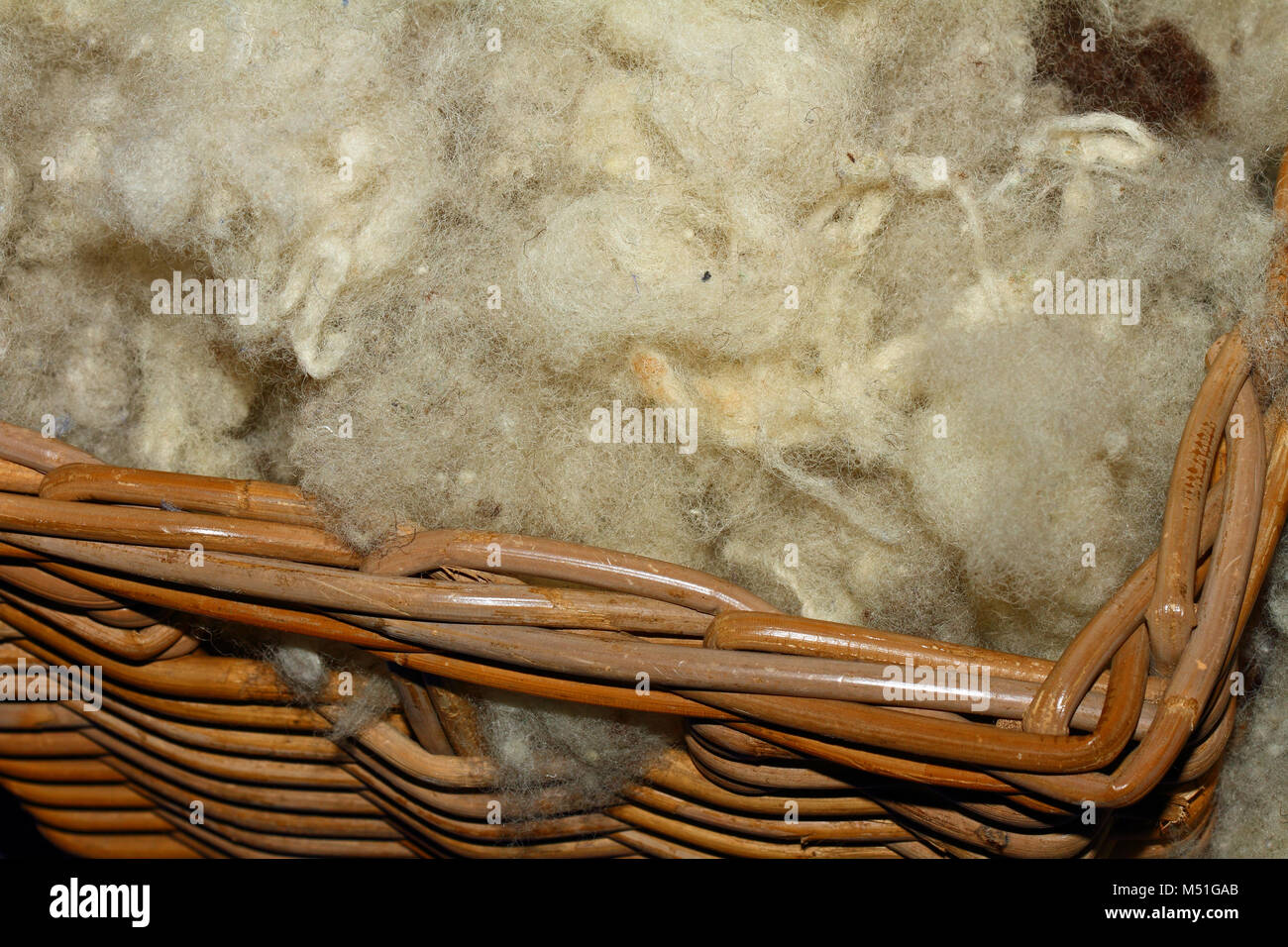 Sheep wool in a wicker basket Stock Photo - Alamy