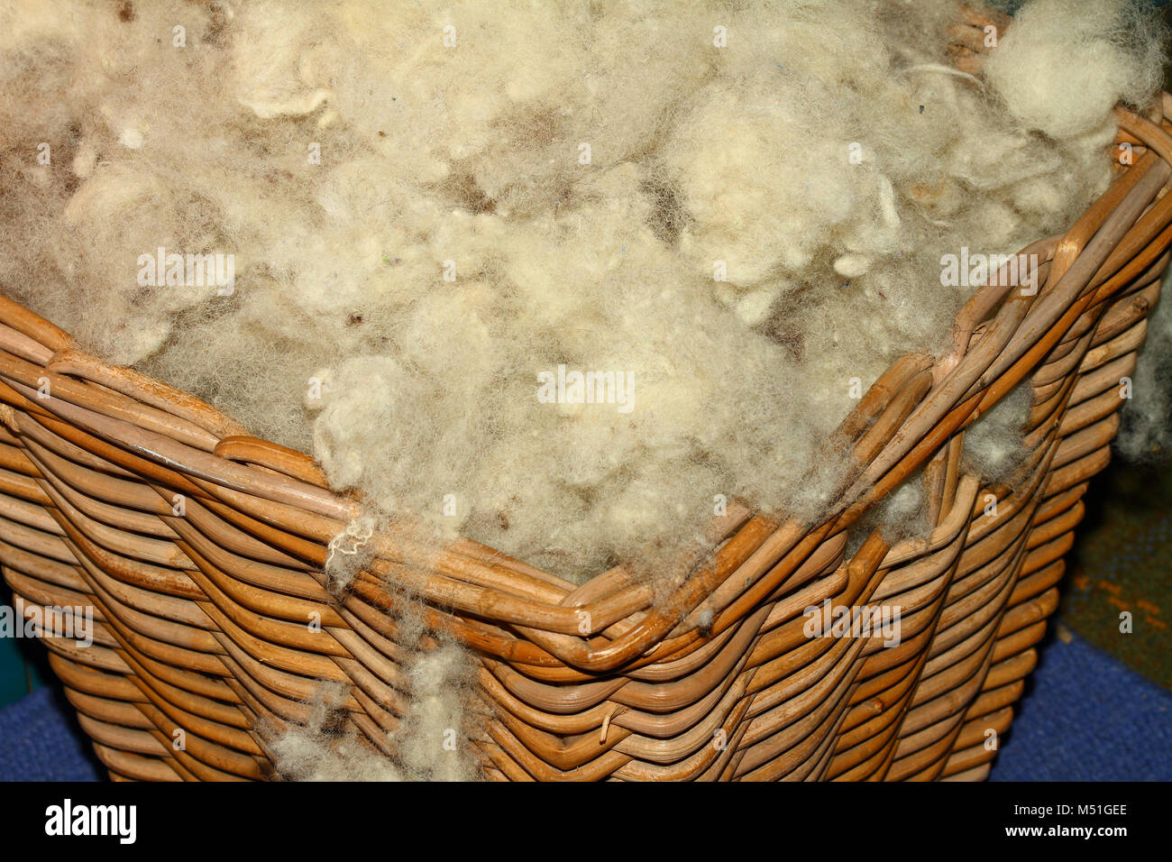 Woolly woollen hi-res stock photography and images - Alamy