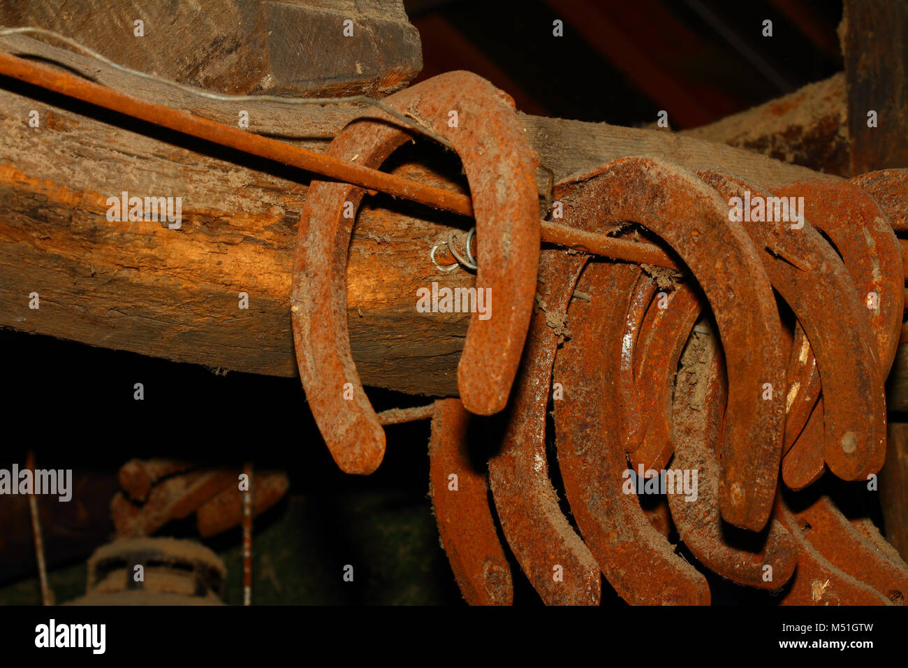 Upside down horse hi-res stock photography and images - Alamy