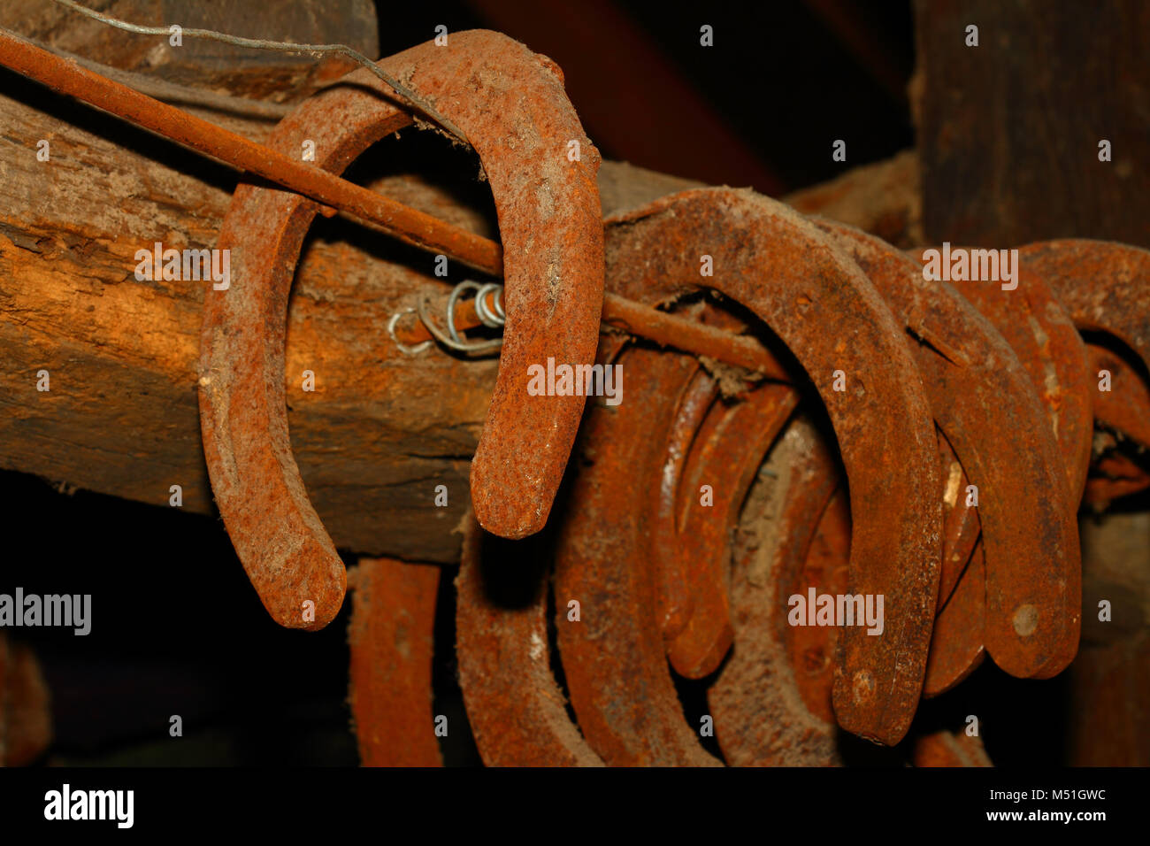 Upside down horse hi-res stock photography and images - Alamy