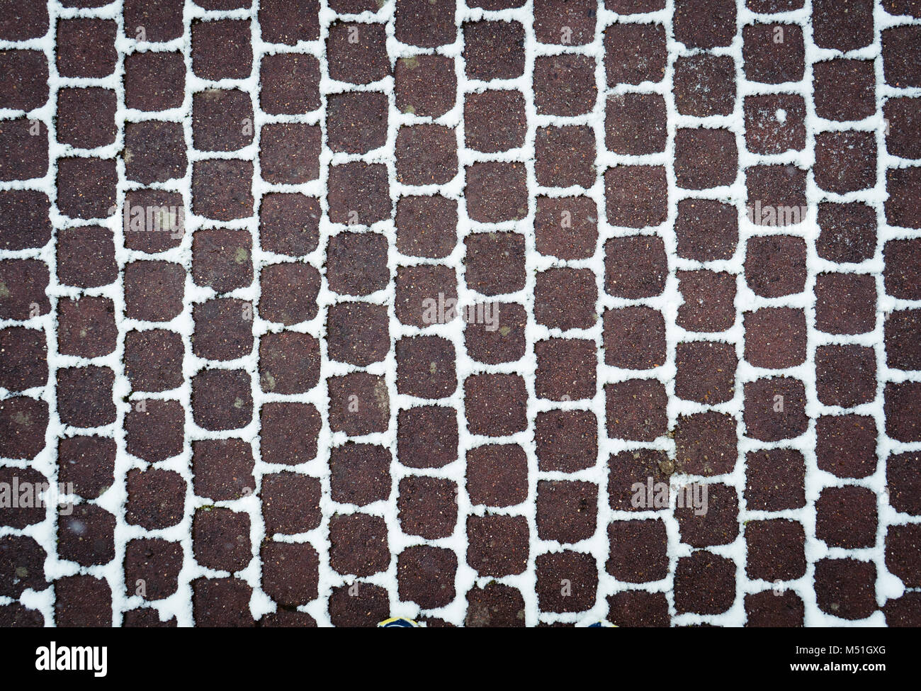 Snowy paved ground, with snow between cobbles making a grid pattern ...