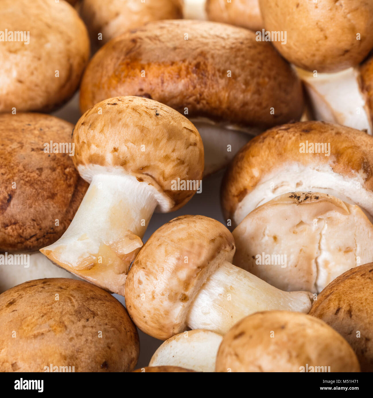 food background texture of champignons mushrooms closeup Stock Photo ...