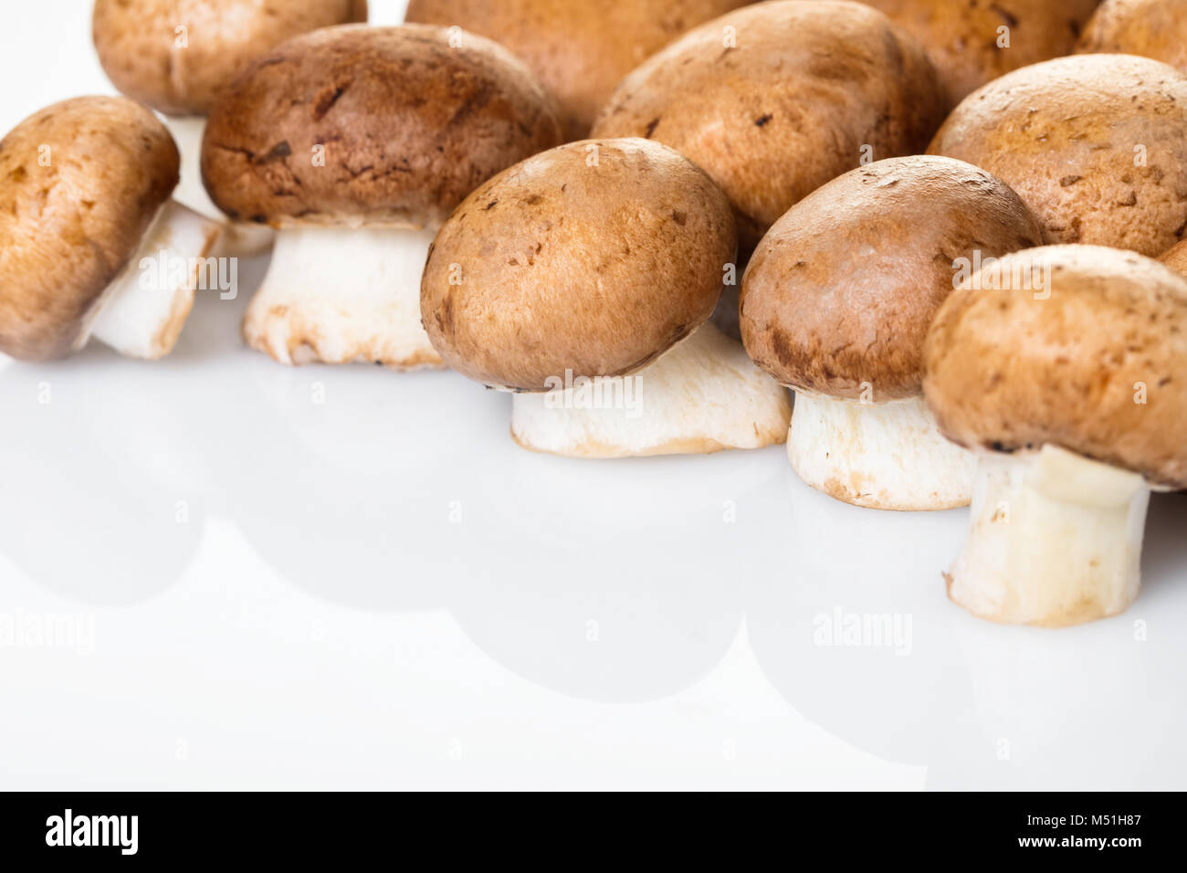 raw mushrooms champignons close-up on white background Stock Photo - Alamy