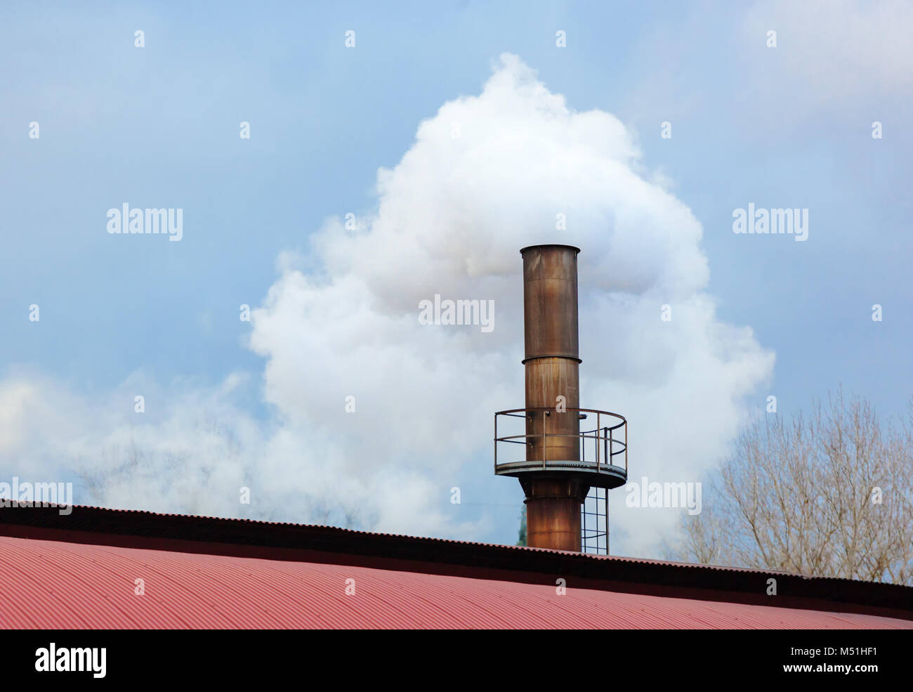 Chimney of a factory. Industrial process that produces white smoke ...