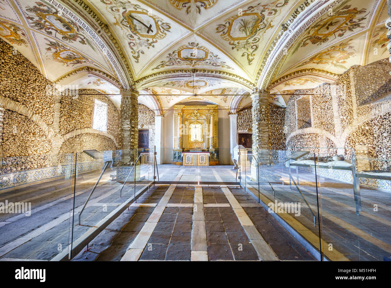 Bone axis hi-res stock photography and images - Alamy