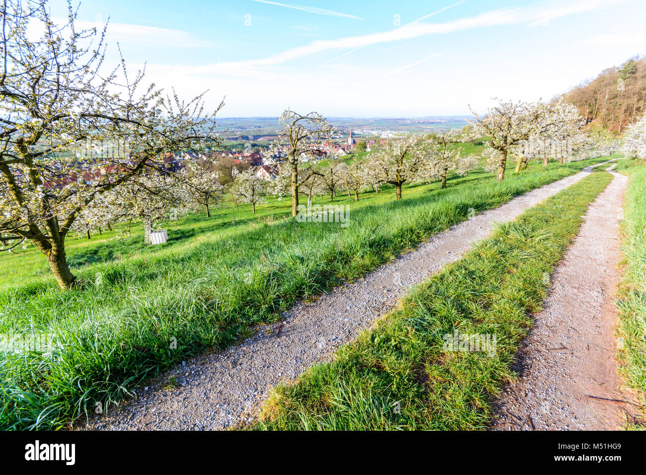 Path in orchard hi-res stock photography and images - Alamy