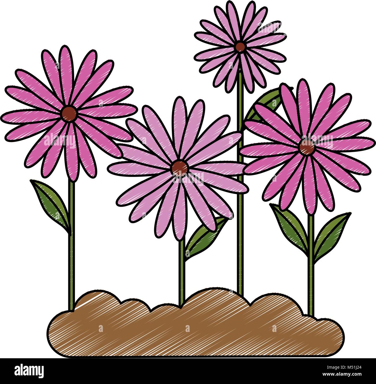 Beautiful flowers garden cultivated Stock Vector Images - Alamy