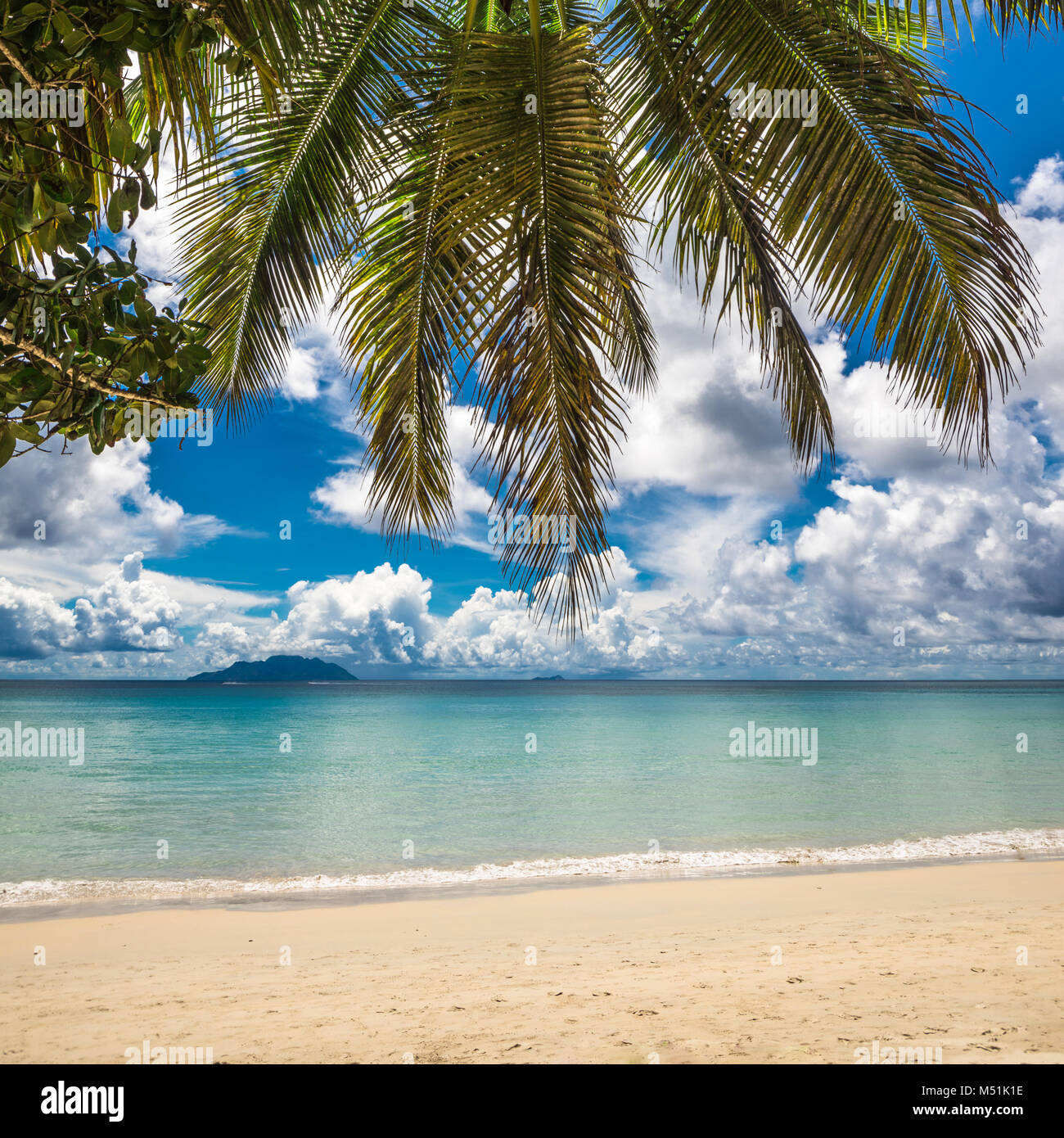 Tropical island beach. Perfect vacation background Stock Photo - Alamy