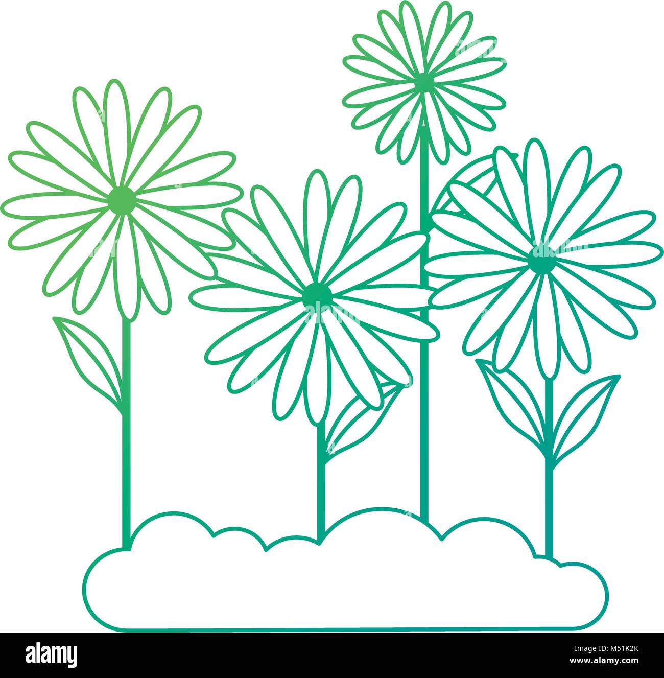 Beautiful flowers garden cultivated Stock Vector Images - Alamy